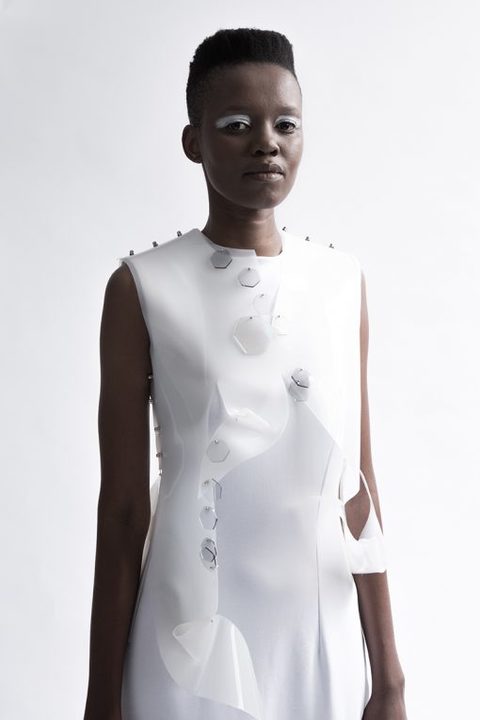 Shaline Naicker | the living habitat